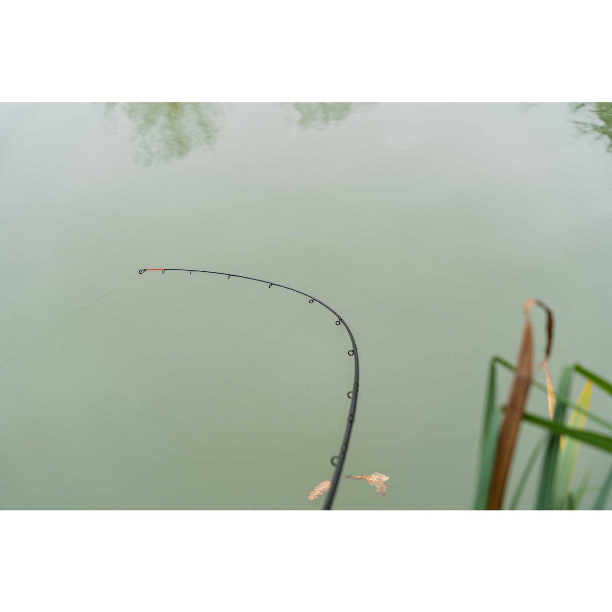 Korum Limitless Feeder Rod 13' 3.9M Carp Fishing Long Distance Heavy F ...