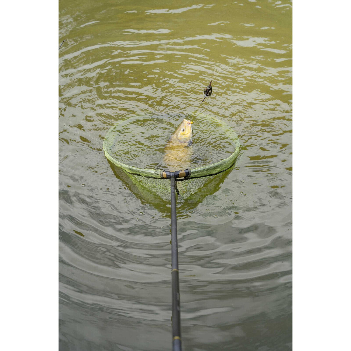 Korum Power Spec Latex Folding Spoon Net Carp Fishing Landing Net 26 ...