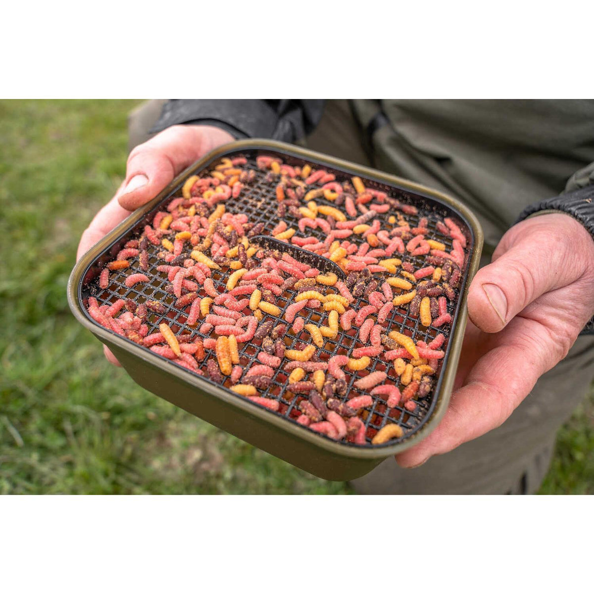 Korum Maggot Tub & Riddle 2Pt/1.2L Carp Fishing Bait Box Set K0310189 ...